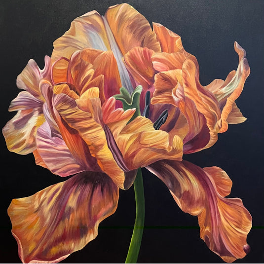 Collections – Gallery Chimera